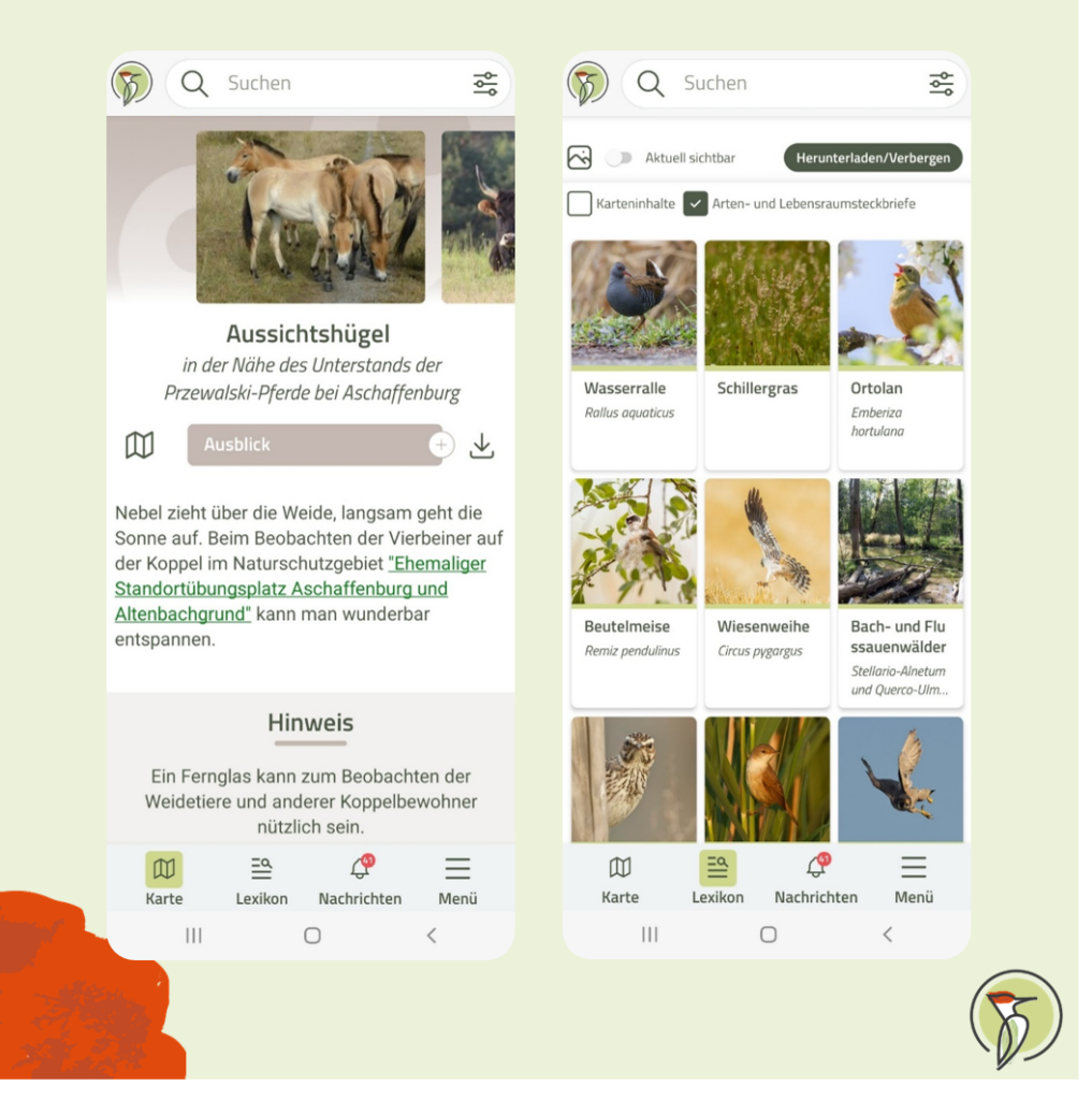 Natur.Digital – der Naturguide für die Hosentasche – Netzwerk Main
